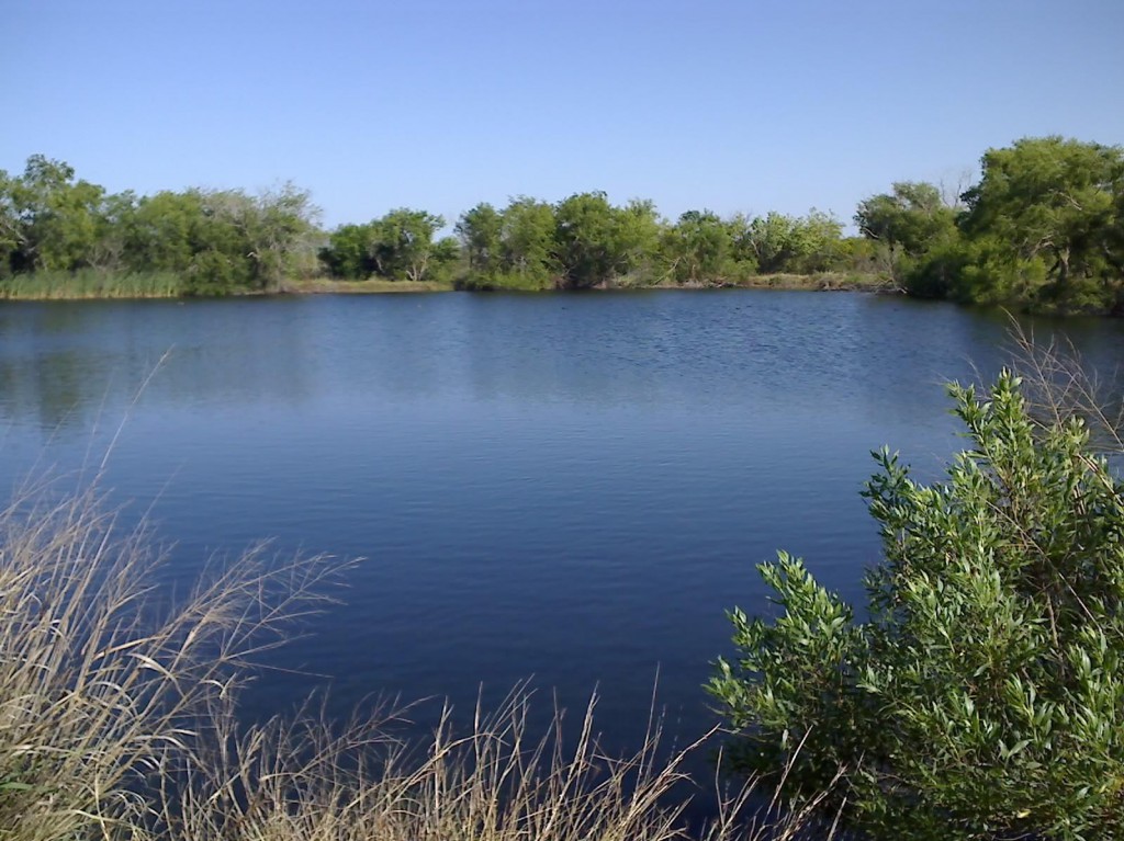 Drought and Its Impact on Your Pond - Lochte Feed & General Store