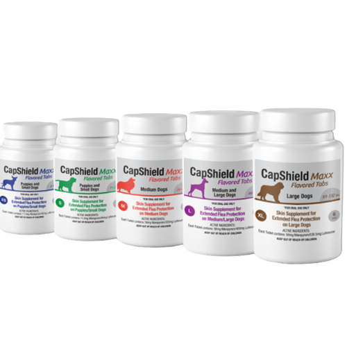 CapShield Maxx Flavored Tabs - Canine - Lochte Feed & General Store