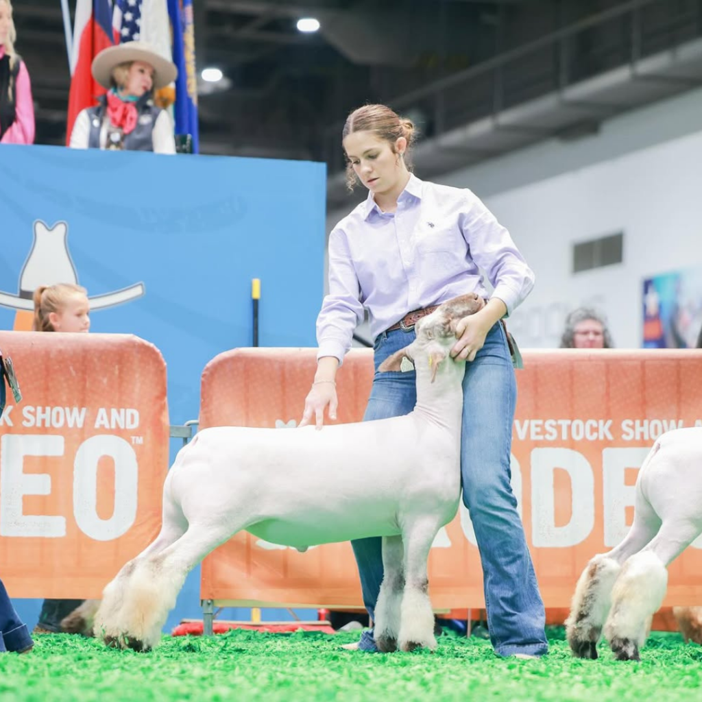 2026 Livestock Shows - Lochte Feed & General Store